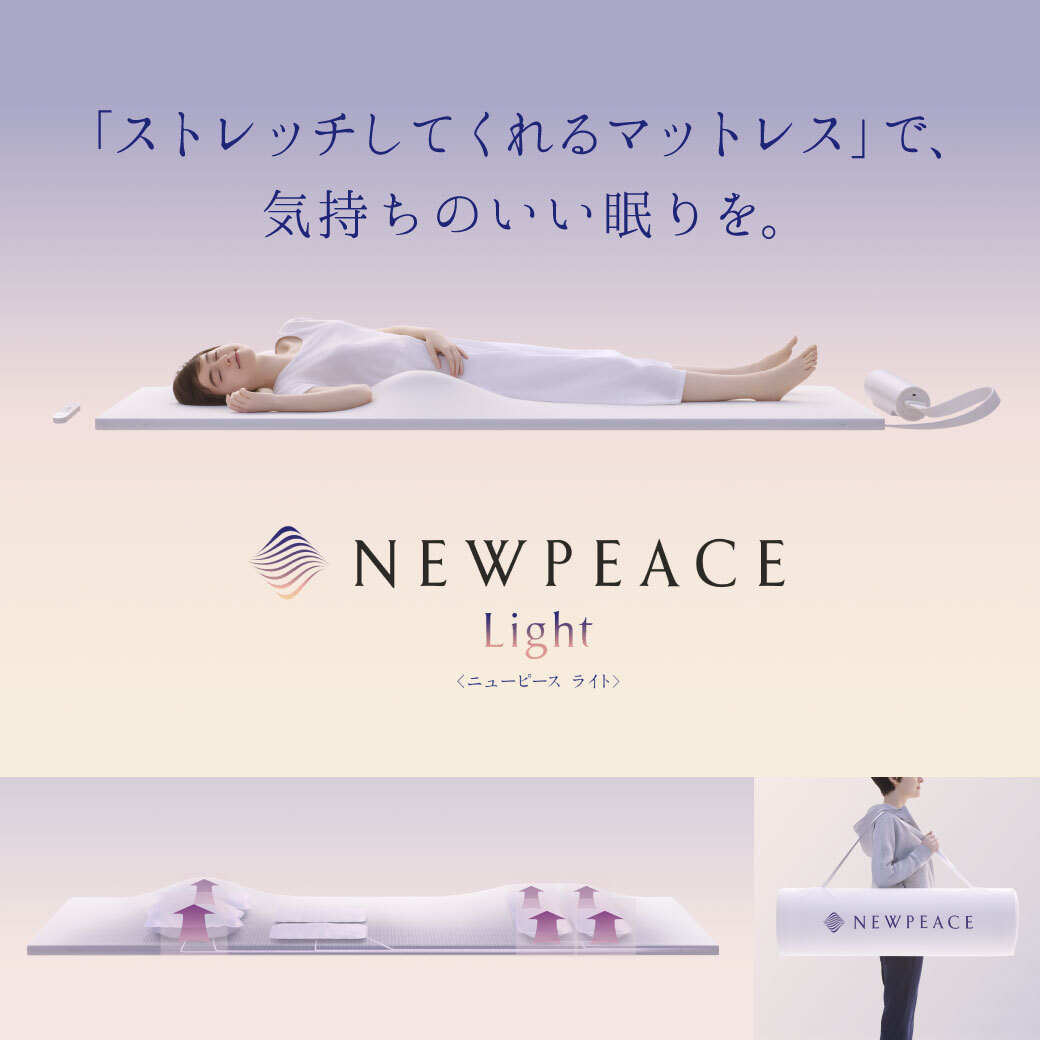 FLE'X Japan株式会社